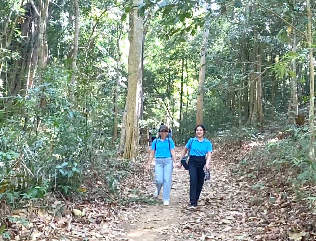 Lời chân thật từ rừng | Báo Gia Lai điện tử