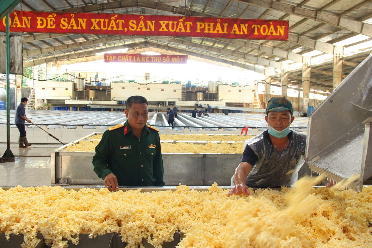 Binh đoàn 15: Đẩy mạnh sản xuất kết hợp với xây dựng vùng biên vững ...