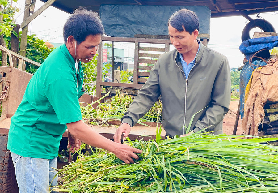 “Đảng viên đi trước...” | Báo Gia Lai điện tử