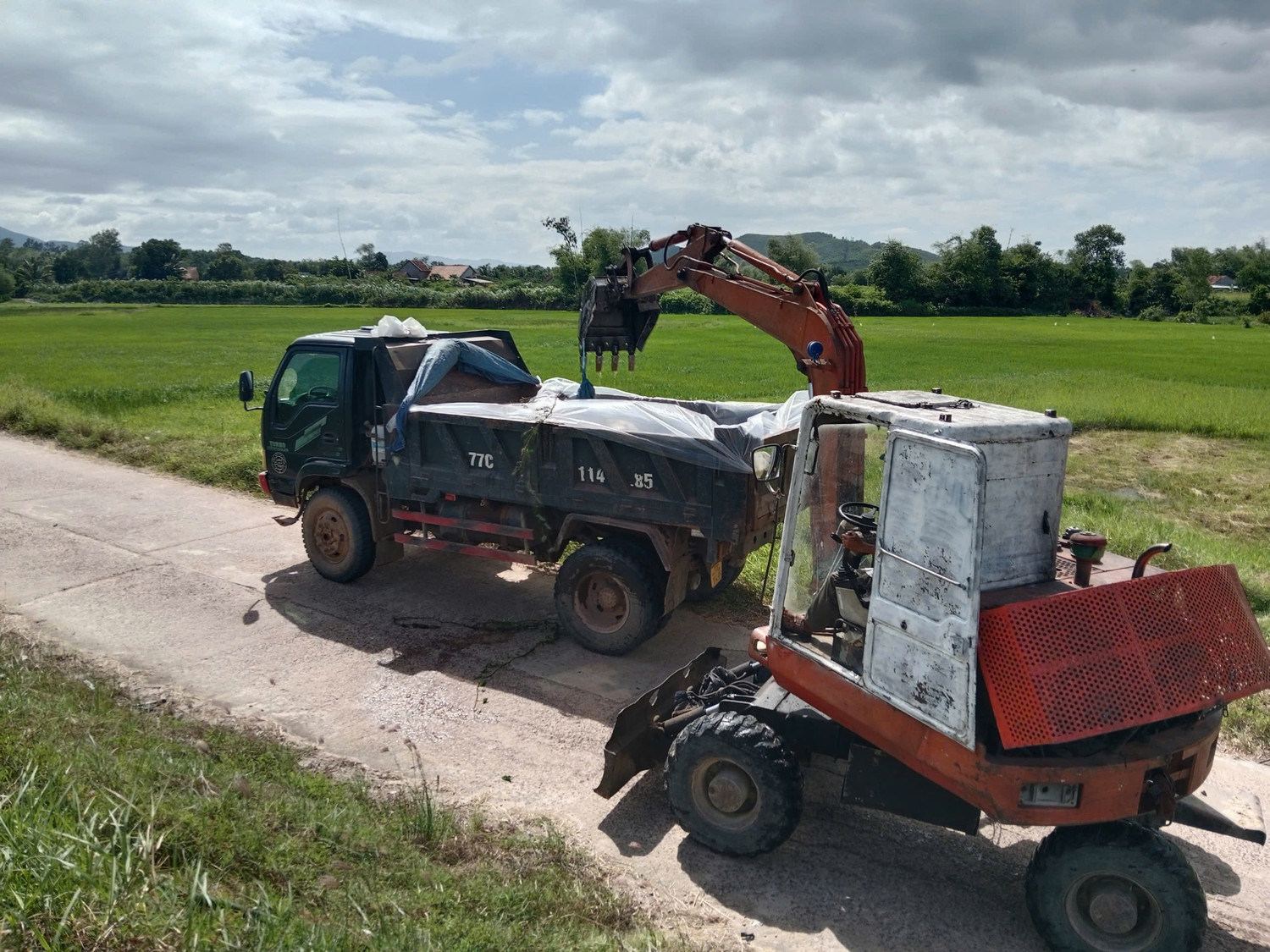 Xã Bình Hiệp khẩn trương thu gom heo chết để tiêu hủy | Báo Gia Lai điện tử