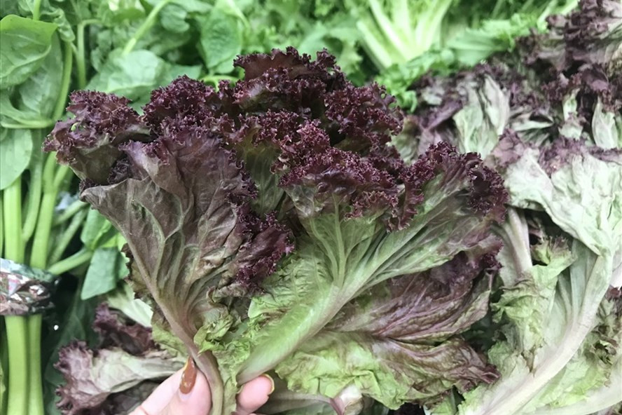 6 lợi ích của rau xà lách lá đỏ | Báo Gia Lai điện tử