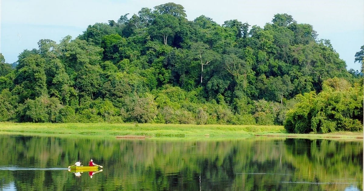 Vườn quốc gia Cát Tiên được trao tặng 4 giải thưởng danh giá về du lịch sinh thái | Báo Gia Lai ...