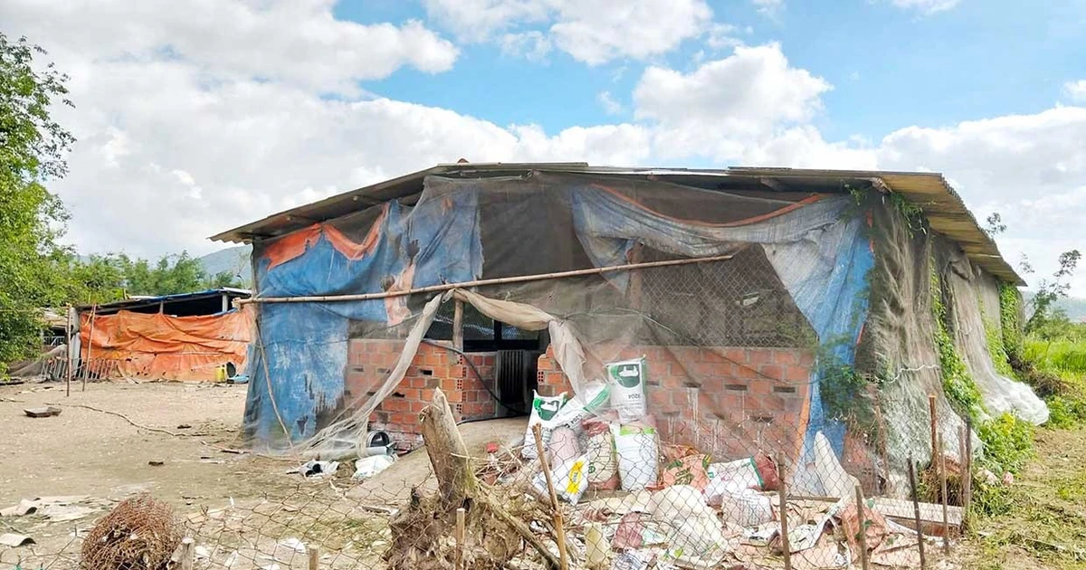 Có sổ đỏ, đất vẫn bị chiếm dụng | Báo Gia Lai điện tử