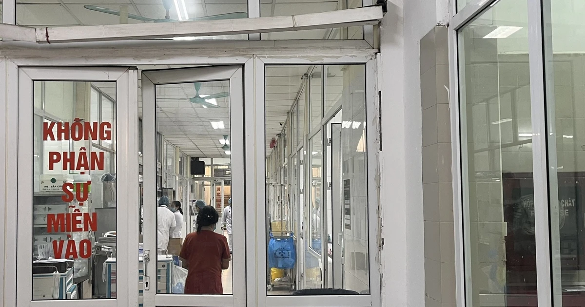 Thông tin cập nhật về dịch bệnh trong nước từ Bộ Y tế