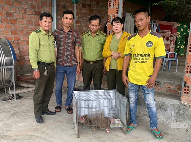 Tiếp nhận 2 cá thể tê tê Java quý hiếm do người dân giao nộp | Báo Gia ...