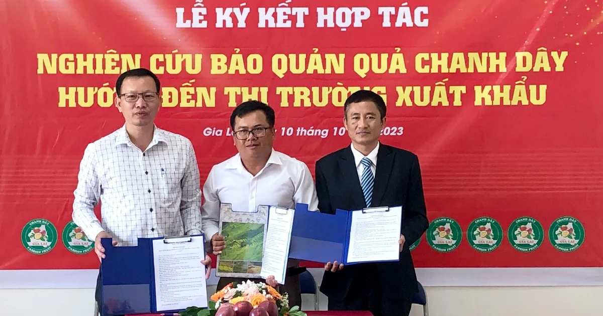 Kéo dài thời gian bảo quản chanh dây tươi: Giải pháp tăng giá trị xuất ...