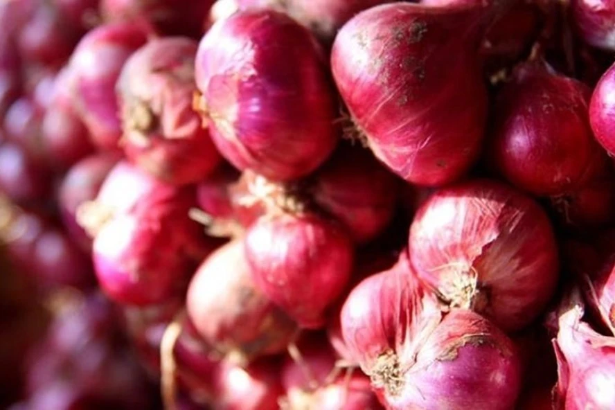 Những lợi ích không ngờ đến đối với sức khoẻ từ cây hành củ | Báo Gia ...