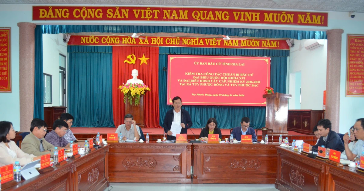 Trưởng Ban Tổ chức Tỉnh ủy kiểm tra công tác bầu cử tại Tuy Phước | Báo ...