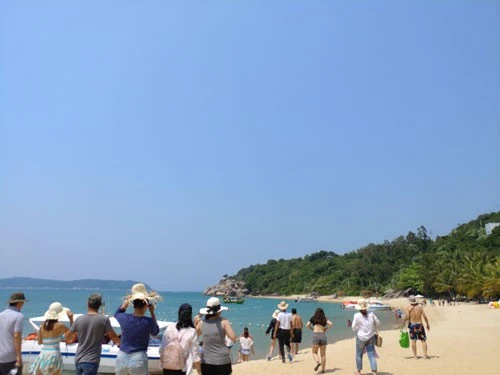 Đến Cù Lao Chàm, hãy thử làm ngư dân | Báo Gia Lai điện tử