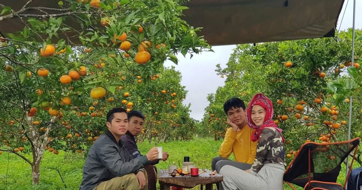 SLang Farm: Trồng cây ăn quả theo hướng bền vững | Báo Gia Lai điện tử