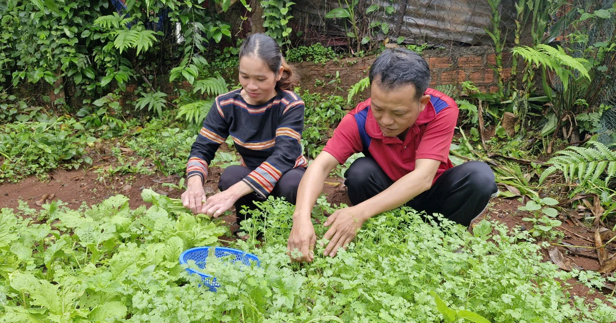 Rmah H’Byên - công nhân giỏi chuyên môn, đam mê công tác xã hội | Báo Gia Lai điện tử