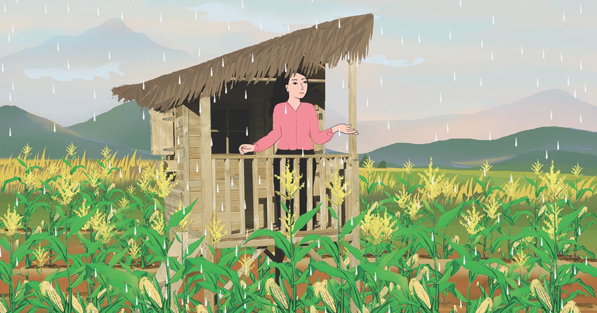 Thân thương chòi rẫy | Báo Gia Lai điện tử