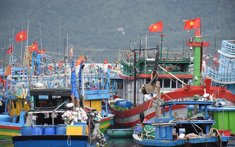 Những hải trình mang vị đời thấm ngọt | Báo Gia Lai điện tử