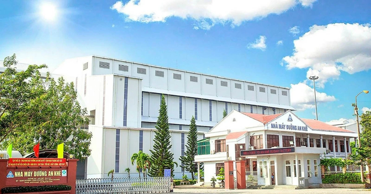 UBND tỉnh Gia Lai trả lời giải quyết kiến nghị của cử tri | Báo Gia Lai ...