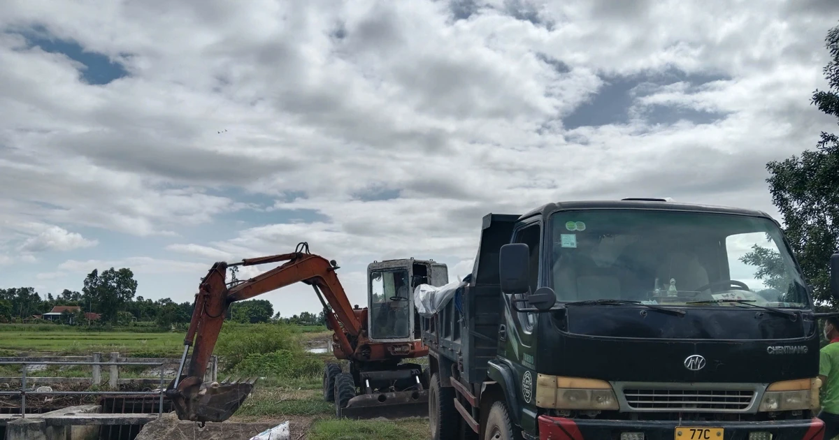 Xã Bình Hiệp khẩn trương thu gom heo chết để tiêu hủy | Báo Gia Lai điện tử