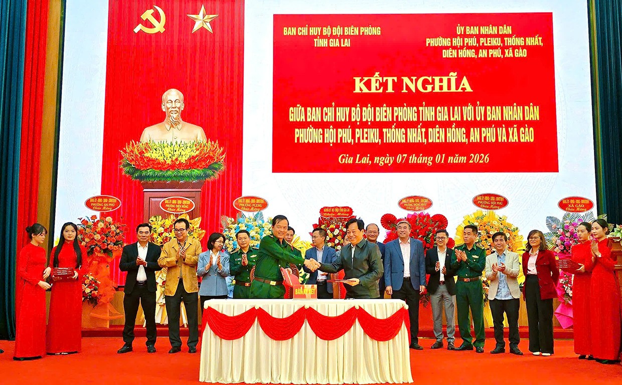 Gia Lai stärkt seine gesamtgesellschaftliche nationale ...