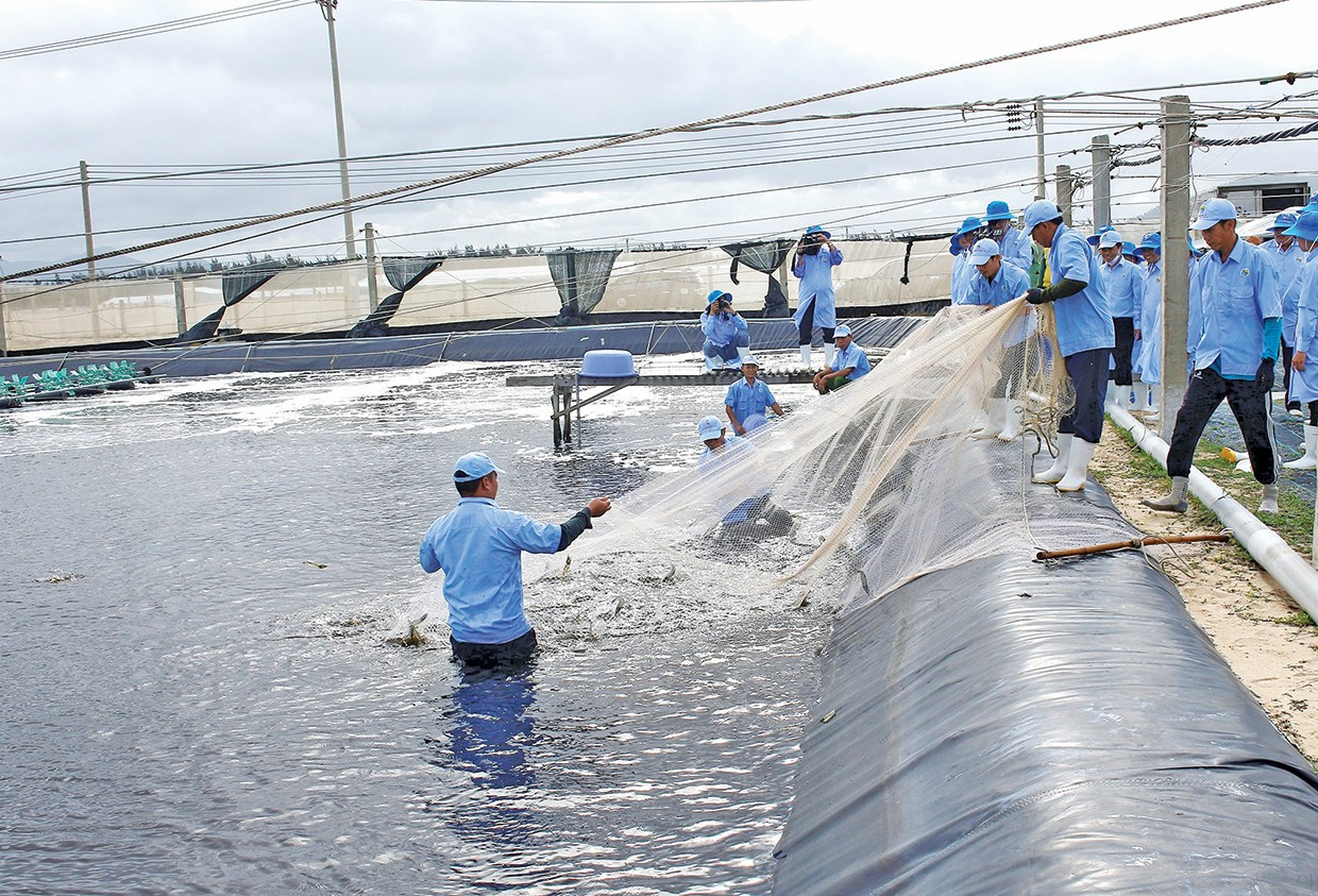 Developing high-quality human resources: Gia Lai confidently enters a ...