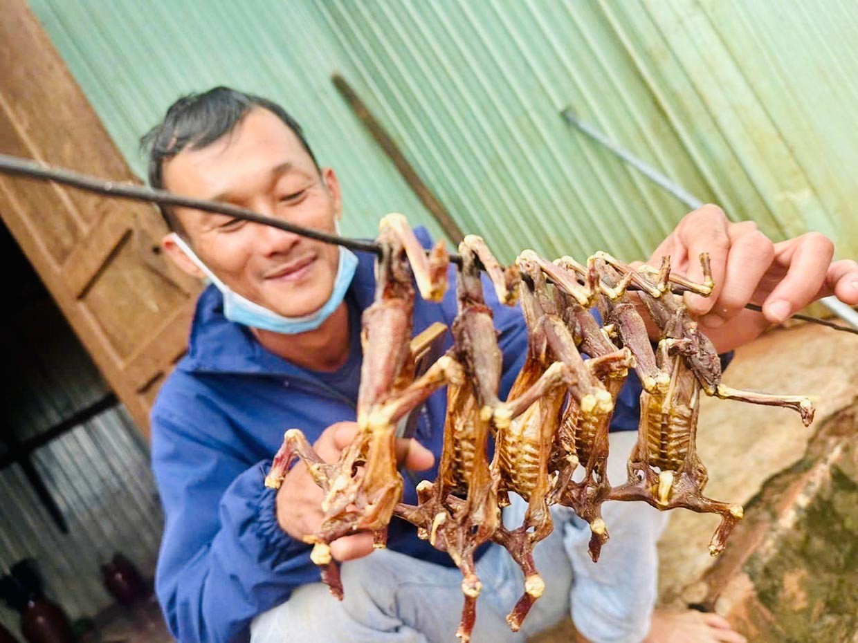 Cảnh báo nguy cơ ngộ độc thịt cóc