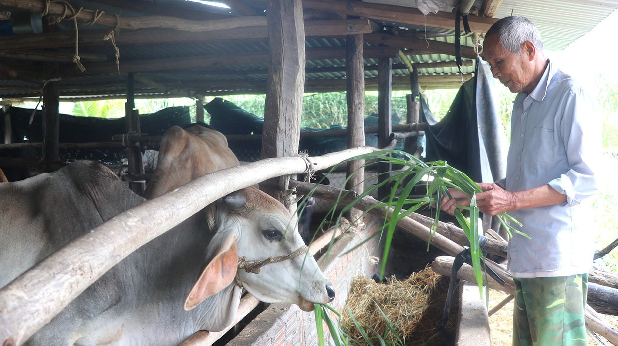 Đak Pơ lan tỏa tinh thần “Tuổi cao-gương sáng” | Báo Gia Lai điện tử