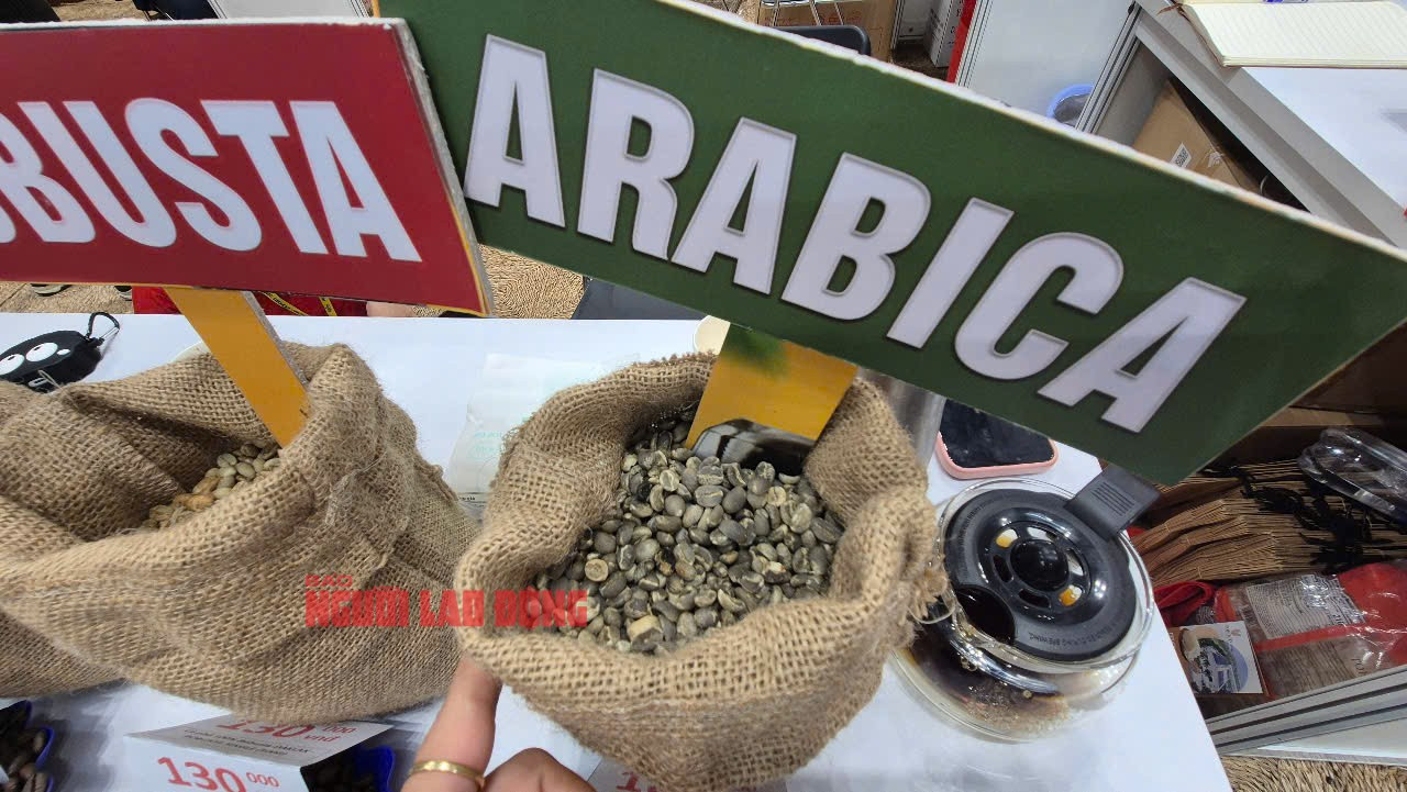 Giá cà phê hôm nay 25-4: Arabica 'nóng ran' | Báo Gia Lai điện tử