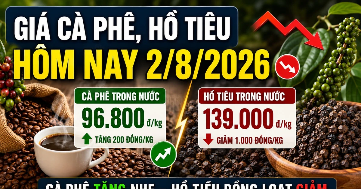 Giá Cà Phê Hôm Nay 28 Tăng Nhẹ Hồ Tiêu Giảm 1000 đồngkg